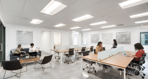 The Rise of Shared Workspaces: Redefining the Way We Work – Gulf Trading UAE | Decorative ...